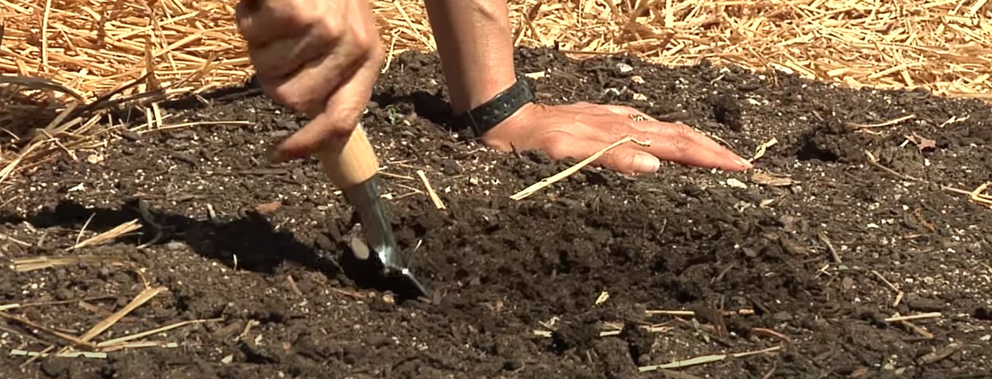 How To Prepare Garden Soil | Vegetable Garden Soil tips