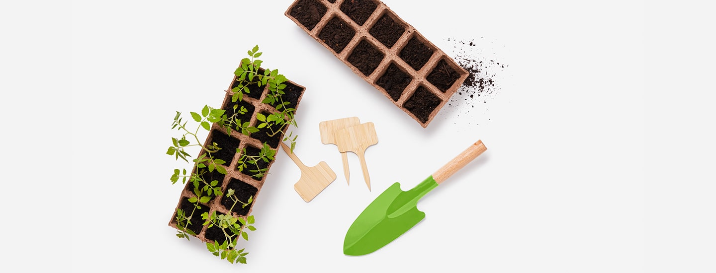 How To Stagger Planting & Harvesting | Succession Planting